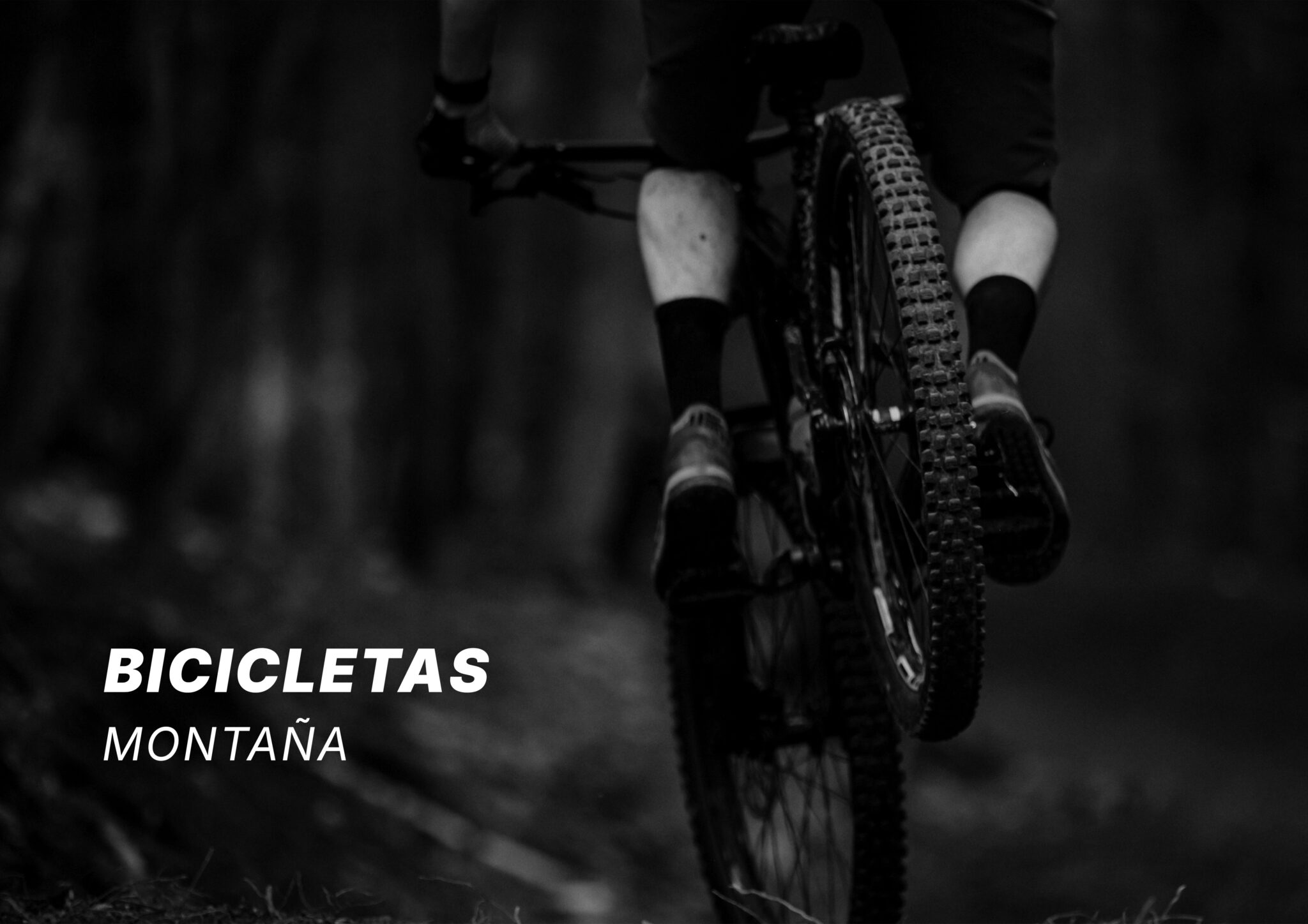 Pagina Principal - RBX